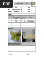 Formato de Merma | PDF