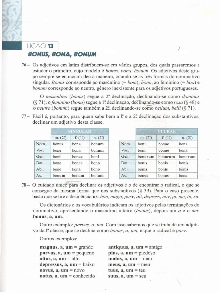 Lição 13 - Bonus, Bona, Bonum | Latim | Substantivo