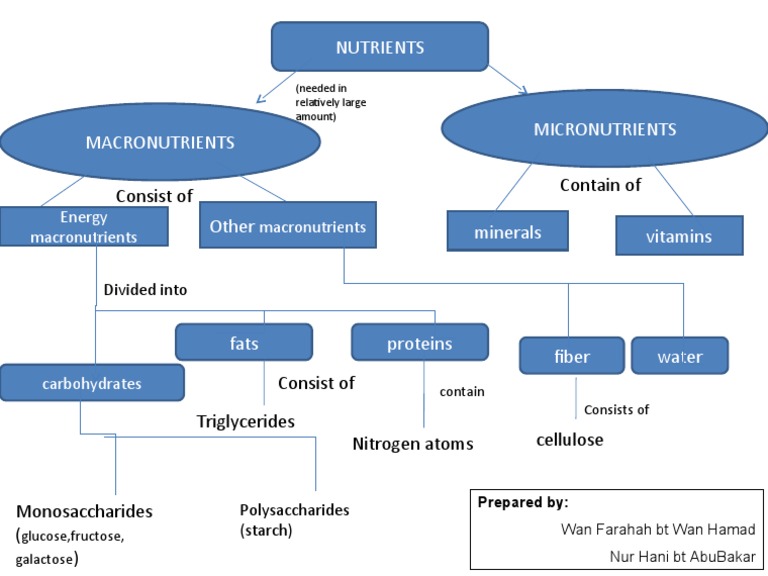 Concept Map - Nutrients | PDF