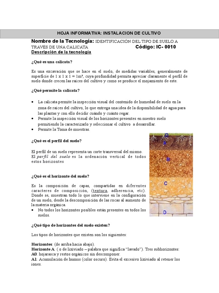 Calicata: Análisis y Aplicaciones en Suelos | PDF | Arte