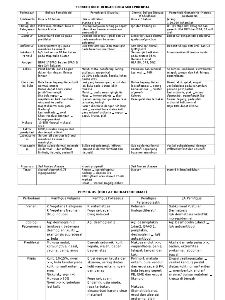 Penyakit Kulit Bulla Subepidermal | PDF