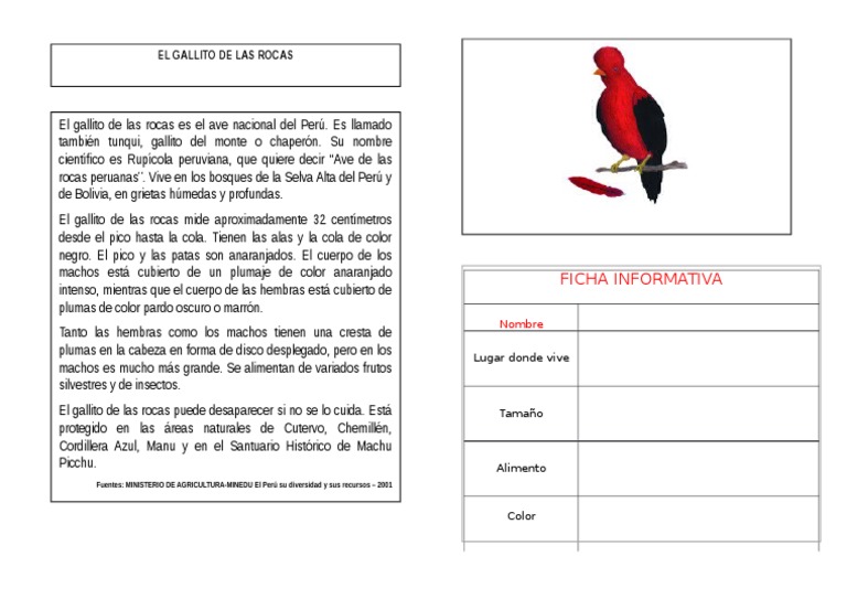 Modelo de Ficha Informativa | PDF