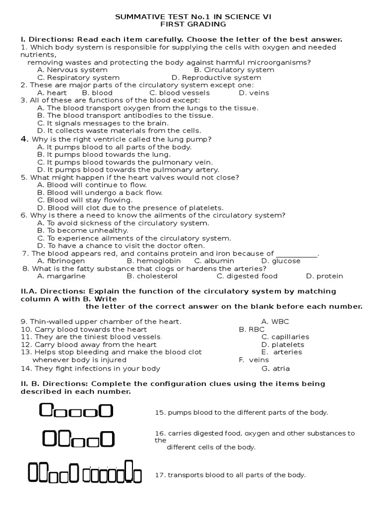 Summative Test No.1 Science | PDF | Circulatory System | Blood
