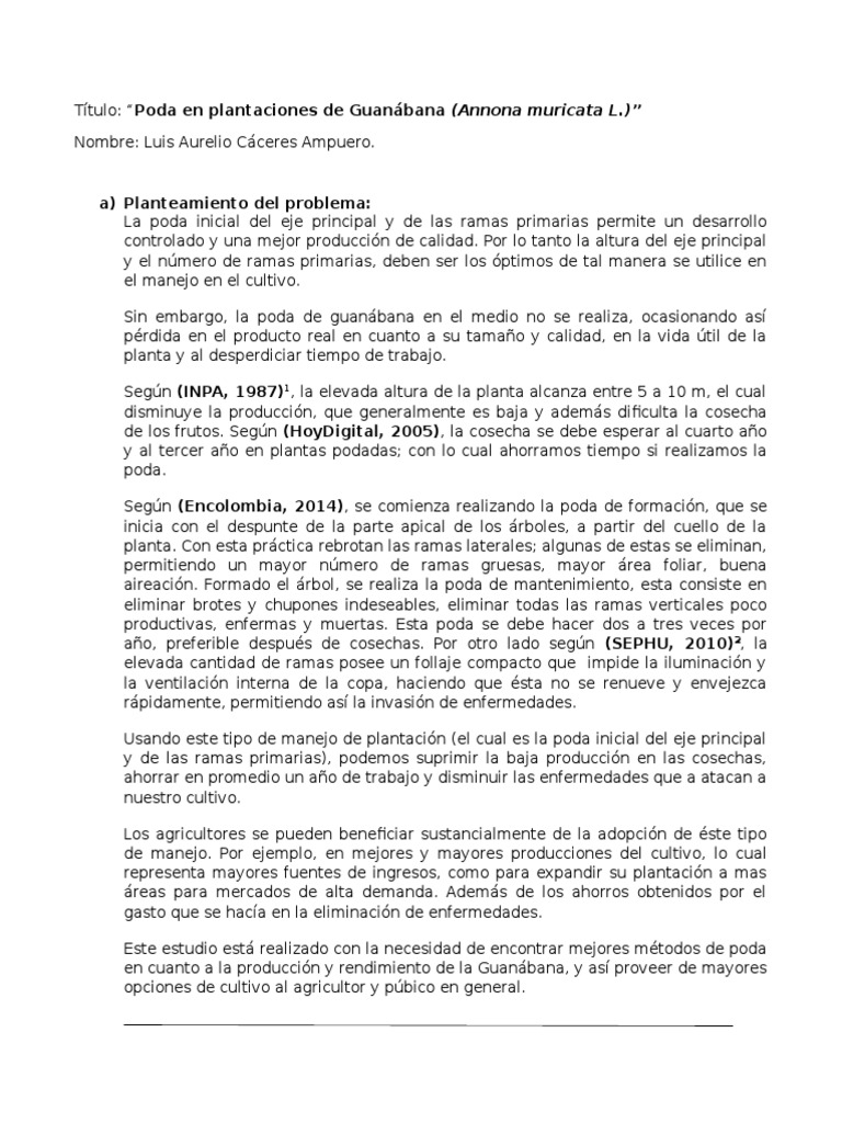 Poda Efectiva de Guanábana: Mejora y Rendimiento | PDF | Plantación ...