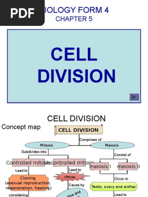 Cell Division Map
