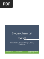 Biogeochemical Cycles For APES | PDF | Carbon Cycle | Nitrate