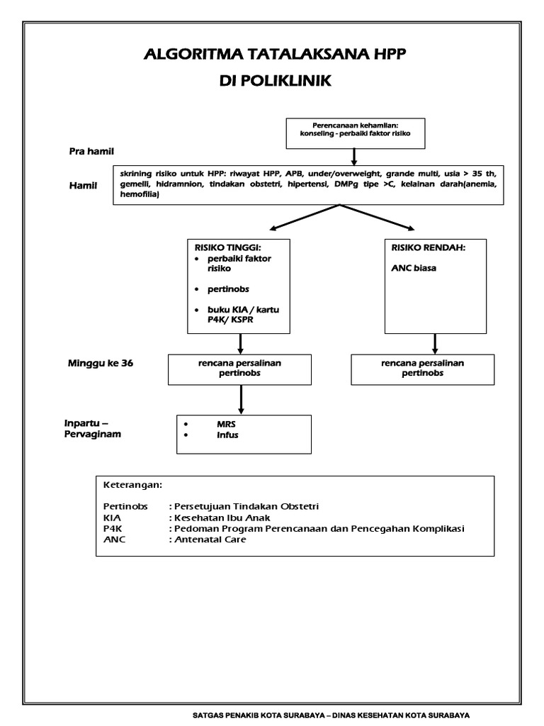 Algoritma Tatalaksana HPP Di Poliklinik PDF | PDF