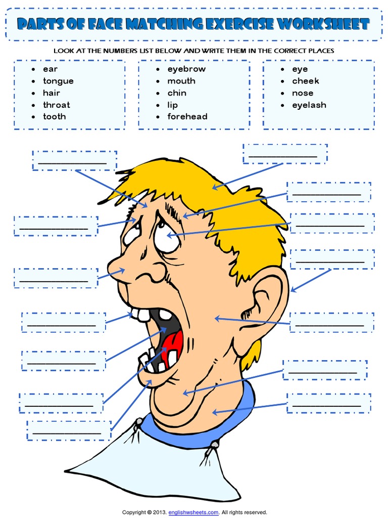 Parts of Face Vocabulary Matching Exercise Worksheet PDF | PDF