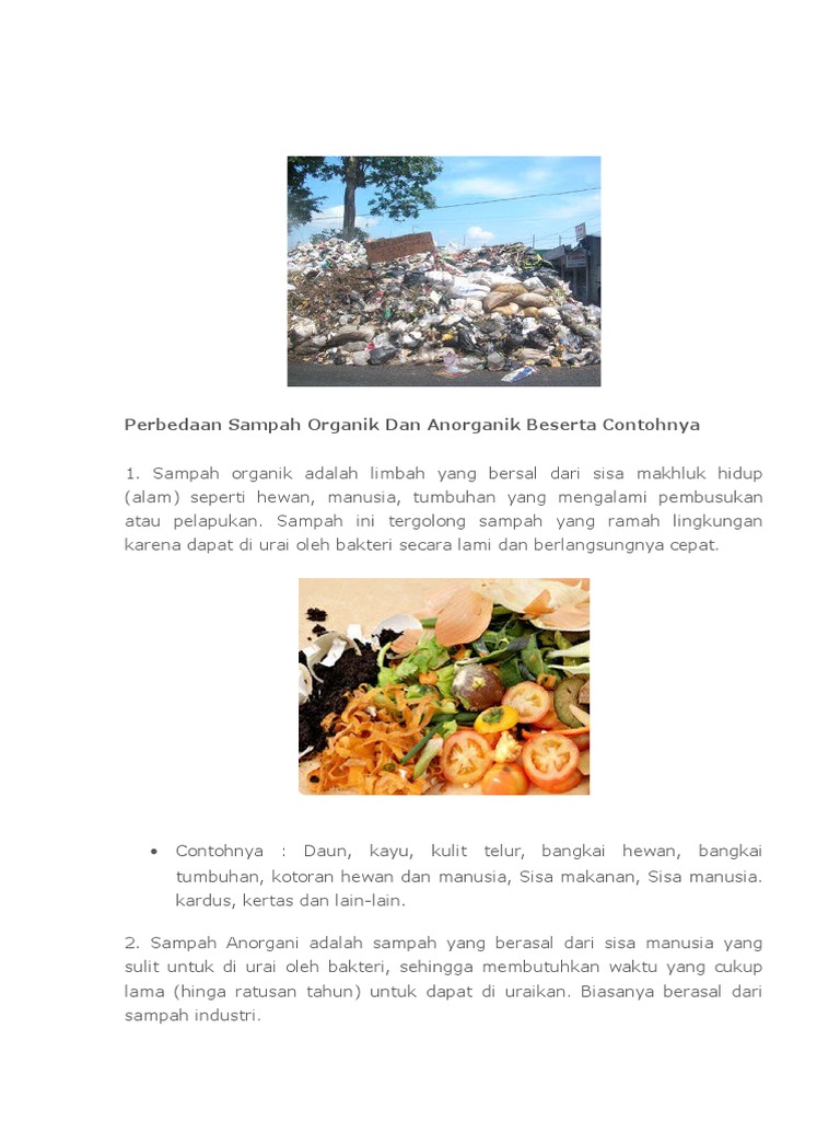 Perbedaan Sampah Organik Dan Anorganik Beserta Contohnya Pdf