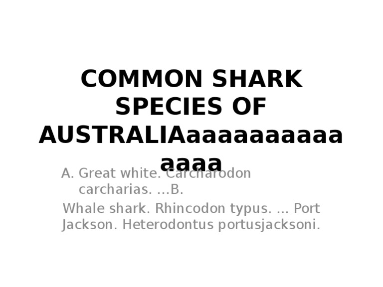 Common Shark Species in Australia | PDF