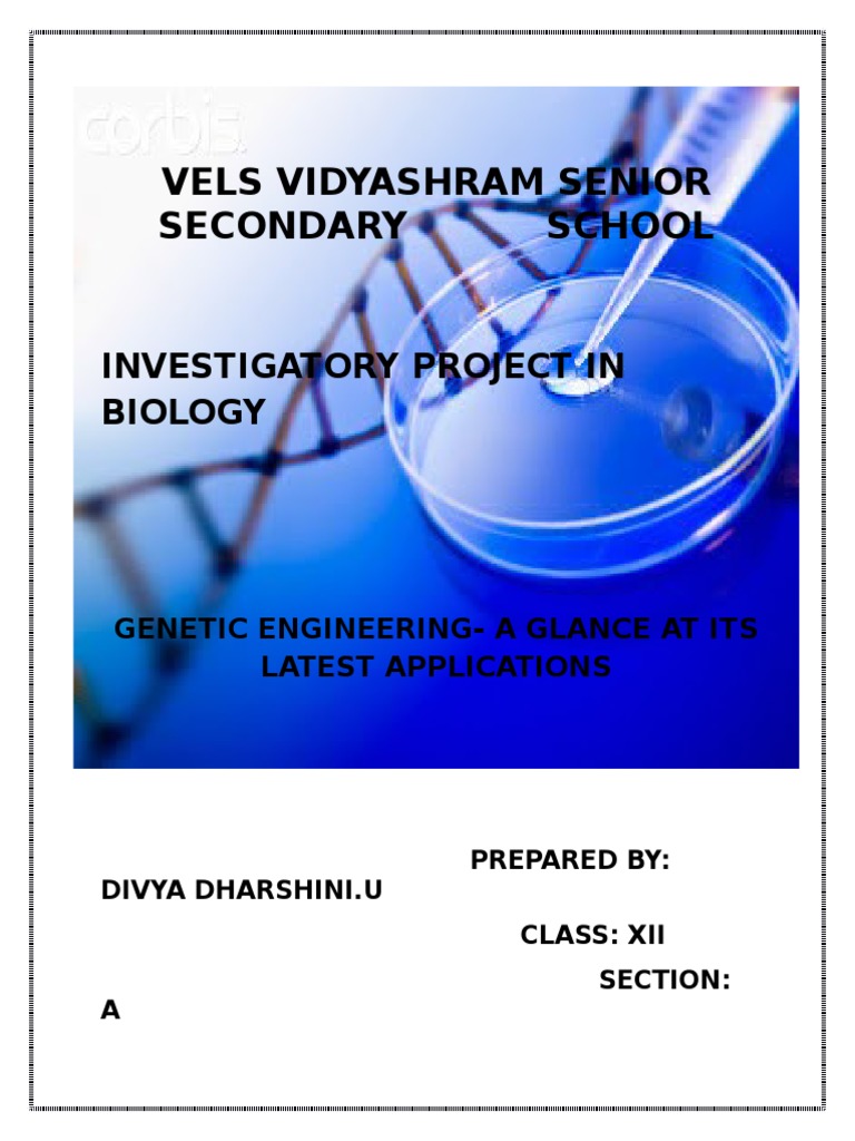 Bio Project | PDF | Genetically Modified Organism | Genetic Engineering