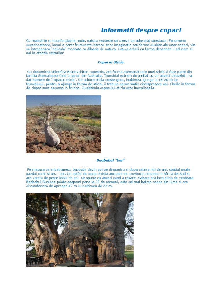 Informatii Despre Copaci
