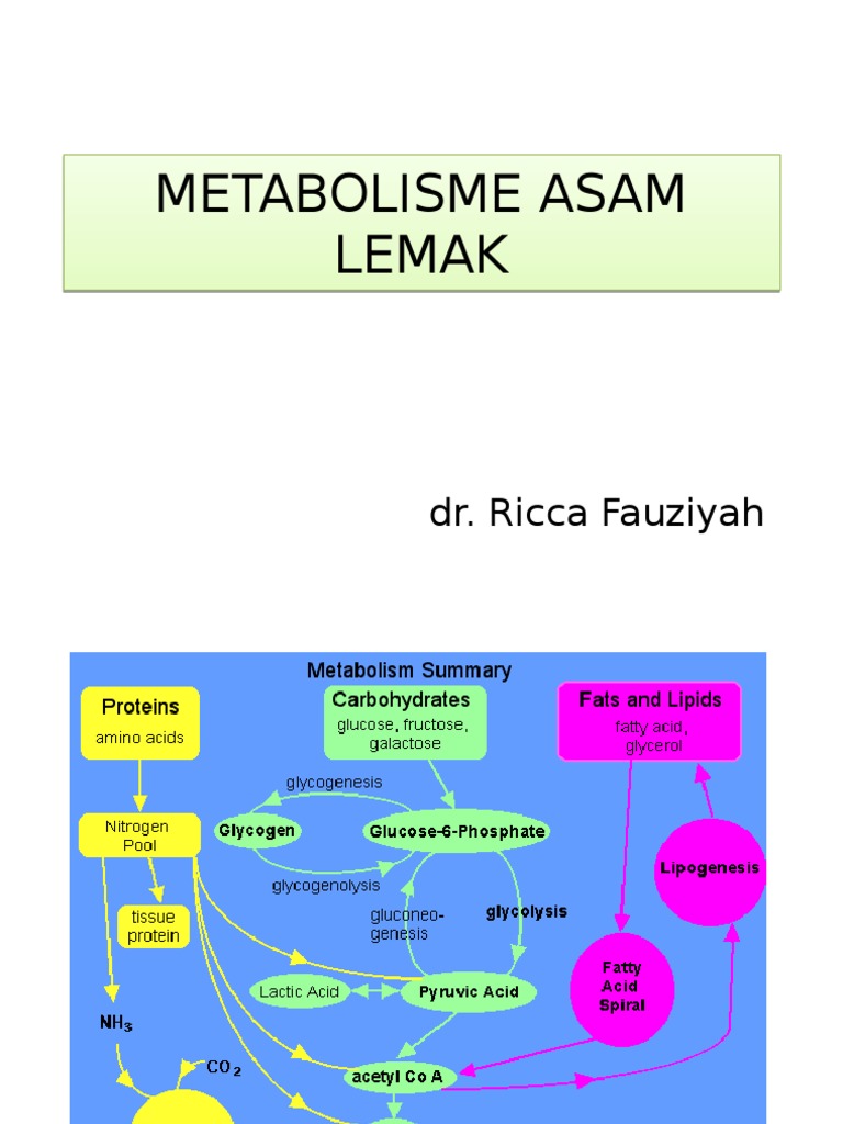 Metabolisme Asam Lemak Metabolisme Asam Lemak: Dr. Ricca Fauziyah | PDF
