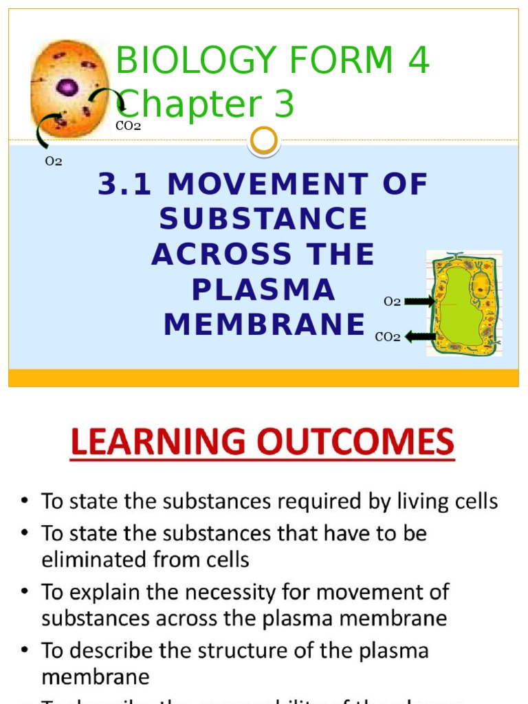 Chapter 3 - 3.1 Movement of Substances Across Plasma Membrane | PDF ...