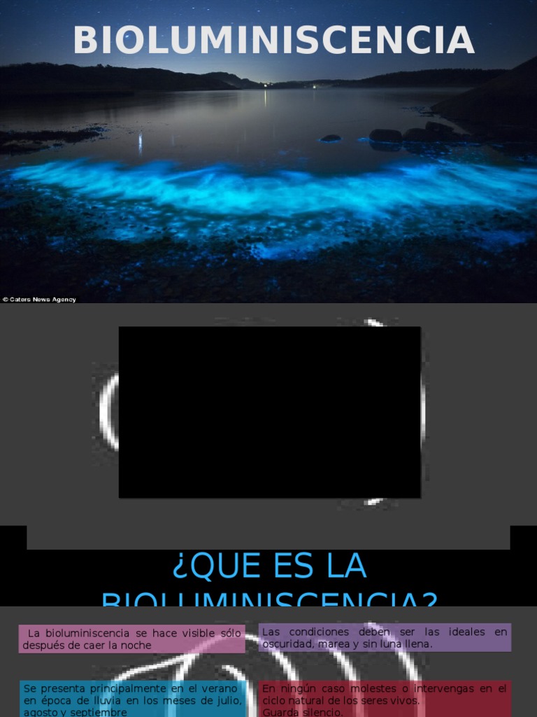 BIOLUMINISCENCIA | PDF