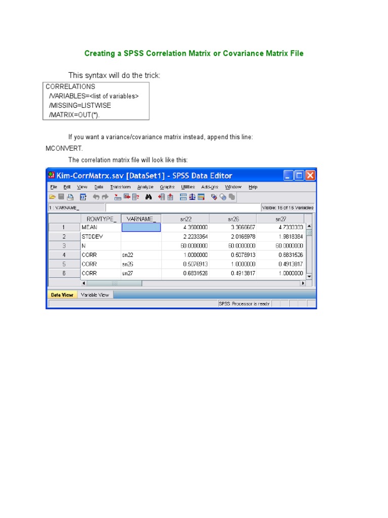 SPSS Correlation Matrix Creation Guide | PDF