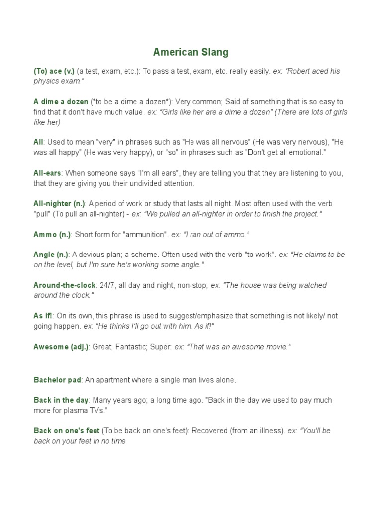 Essential American Slang Terms Explained | PDF