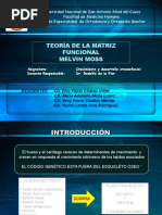 Teoría de La Matriz Funcional de Melvin Moss | PDF | Cráneo | Ortodoncia