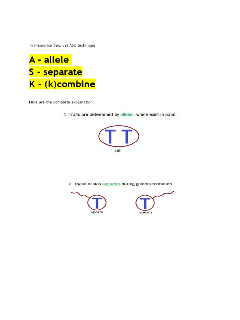 Understanding the Mechanisms of Inheritance Through Concise ...