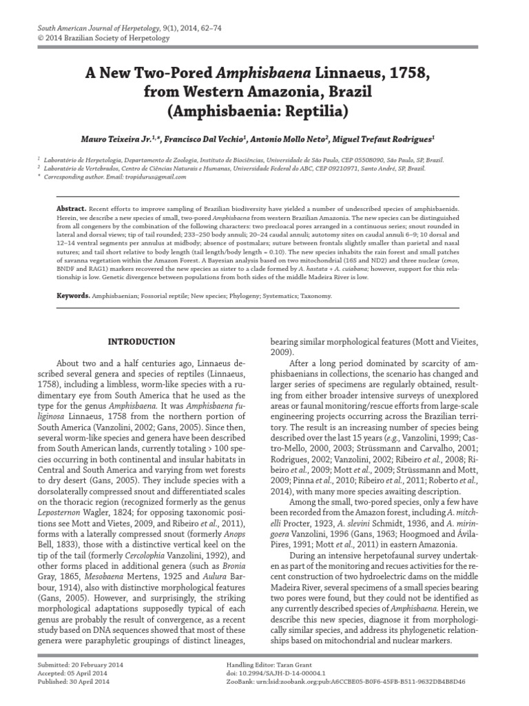 Teixeira JR Et Al 2014 A New Two-Pored Amphisbaena Linnaeus, 1758, From ...