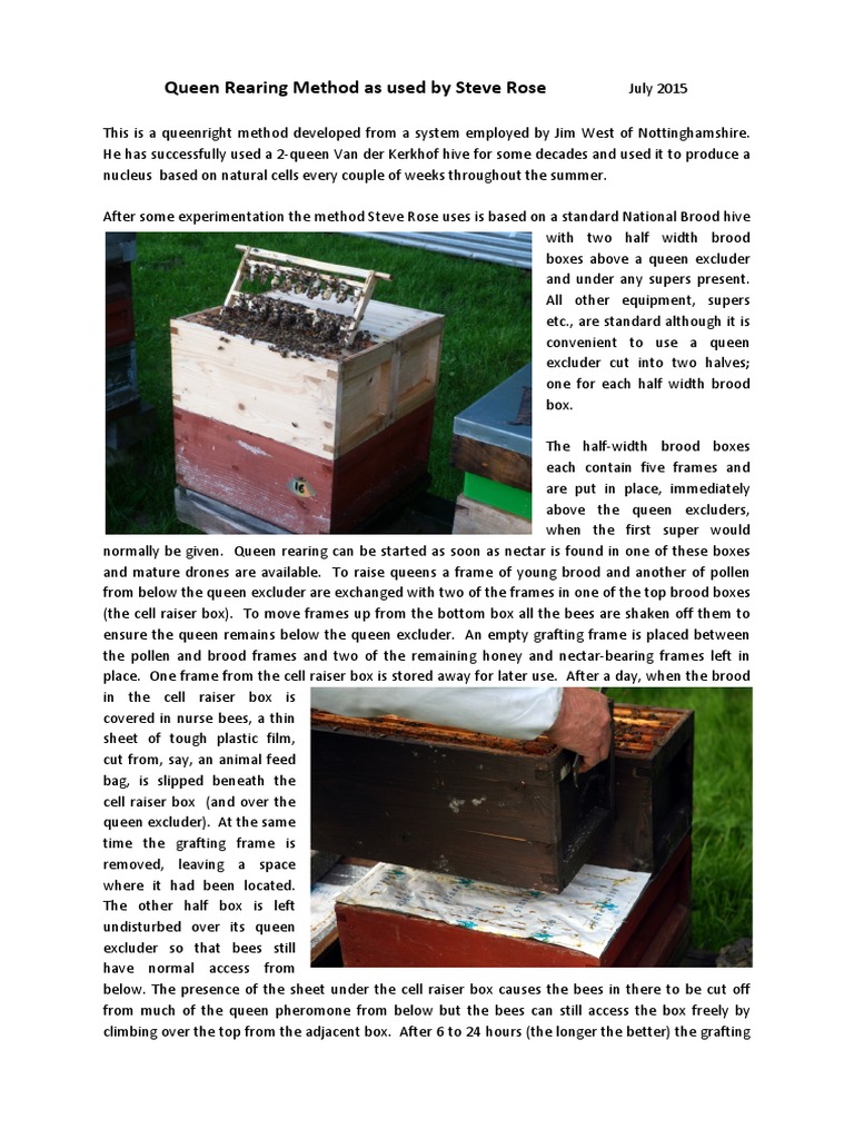 Queen Rearing Method Steve Rose July 2015 | Agriculturally Beneficial ...