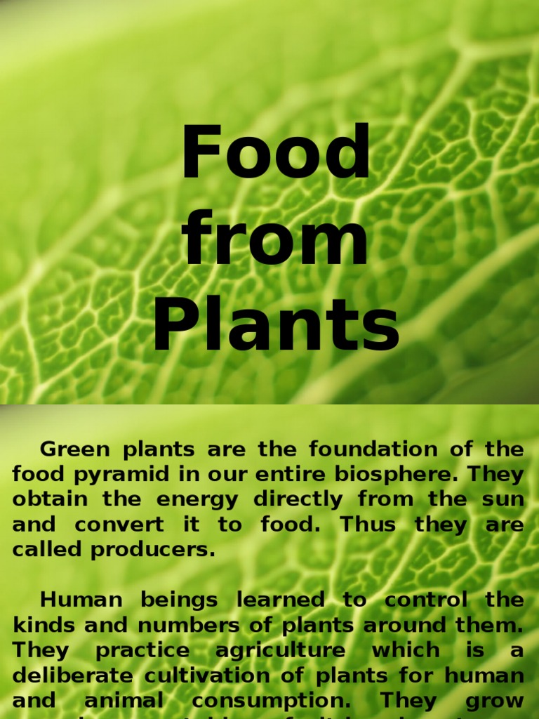 Understanding Plant-Based Foods | PDF | Fruit | Plants