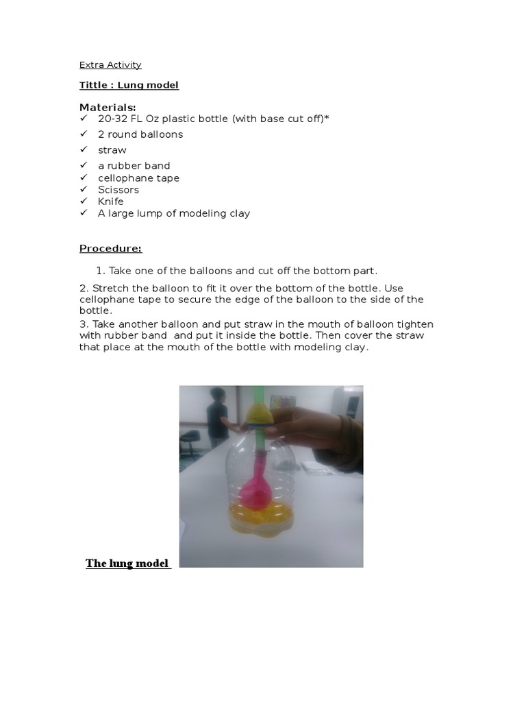 Materials:: Tittle: Lung Model | PDF