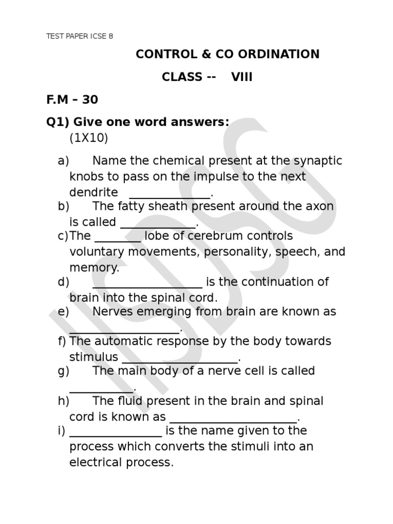 Nervous Sytem - Test 1 | PDF | Teaching Methods & Materials
