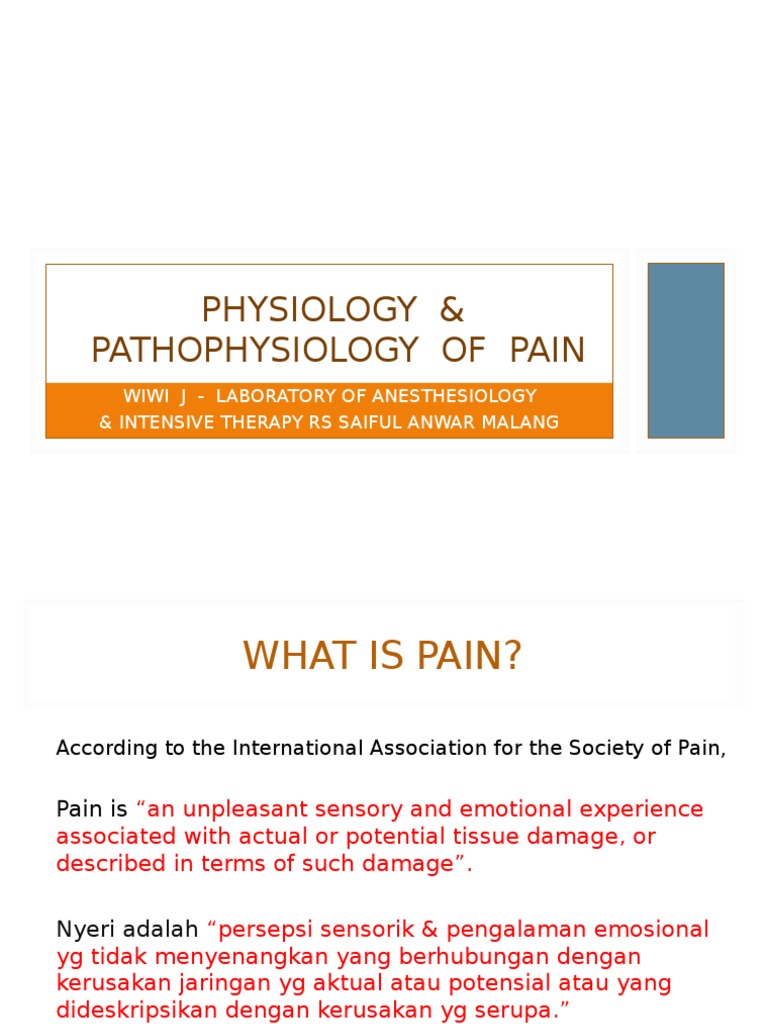 Physiology & Pathophysiology of Pain | PDF | Pain | Nervous System