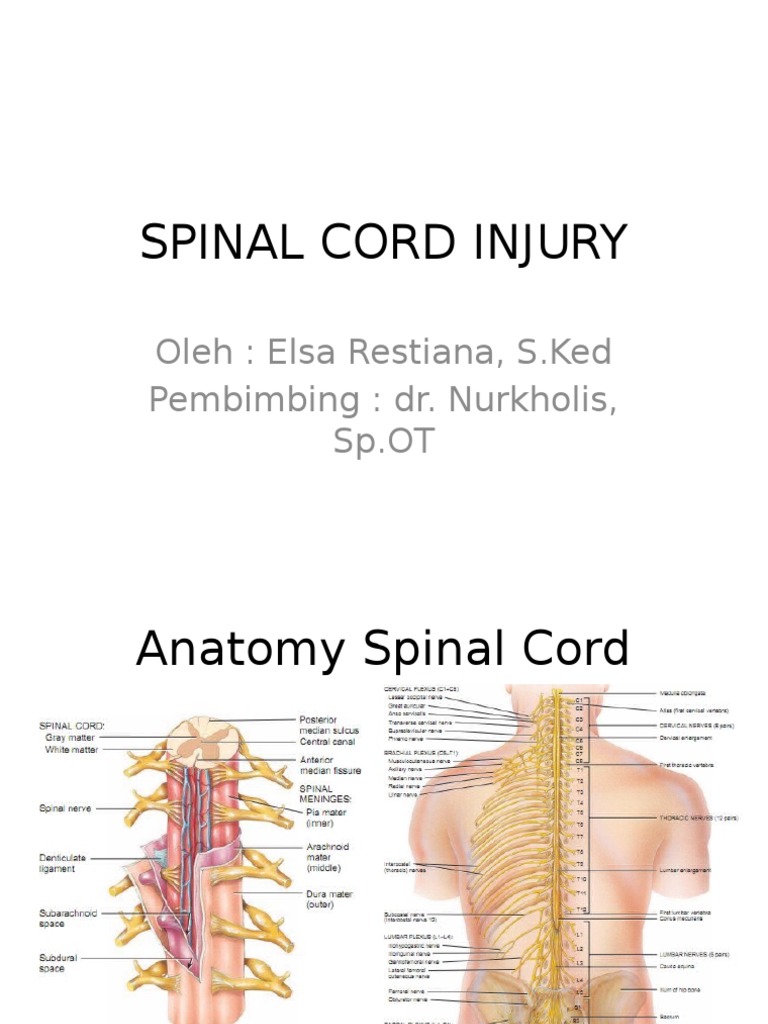 Spinal Cord Injury: Oleh: Elsa Restiana, S.Ked Pembimbing: Dr ...