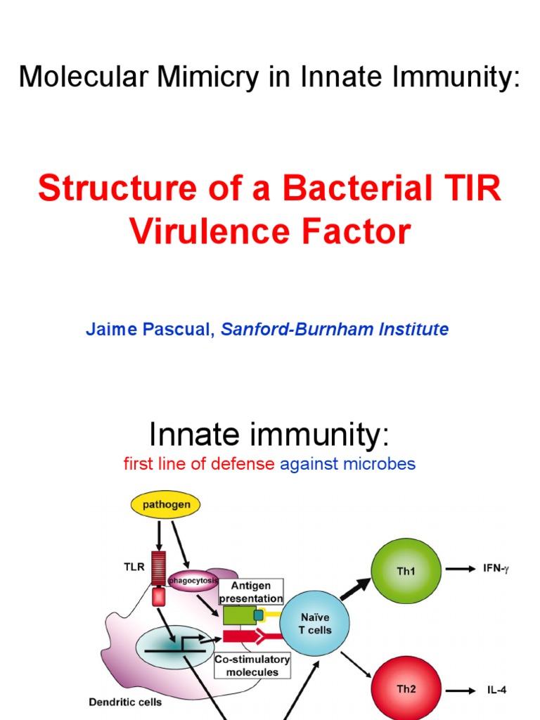 Molecular Mimicry in Innate Immunity:: Structure of A Bacterial TIR ...