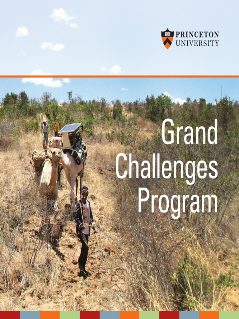 2011 Grand Challenges Pamphlet | PDF | Antimicrobial Resistance ...