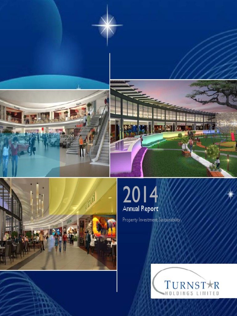 Turnstar Annual Report Final | PDF | Market Value | Valuation (Finance)