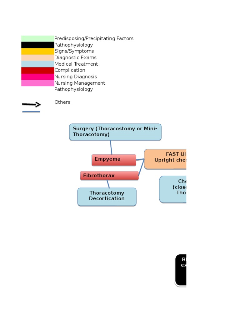 Chest Trauma Concept Map | PDF | Lung | Respiratory System