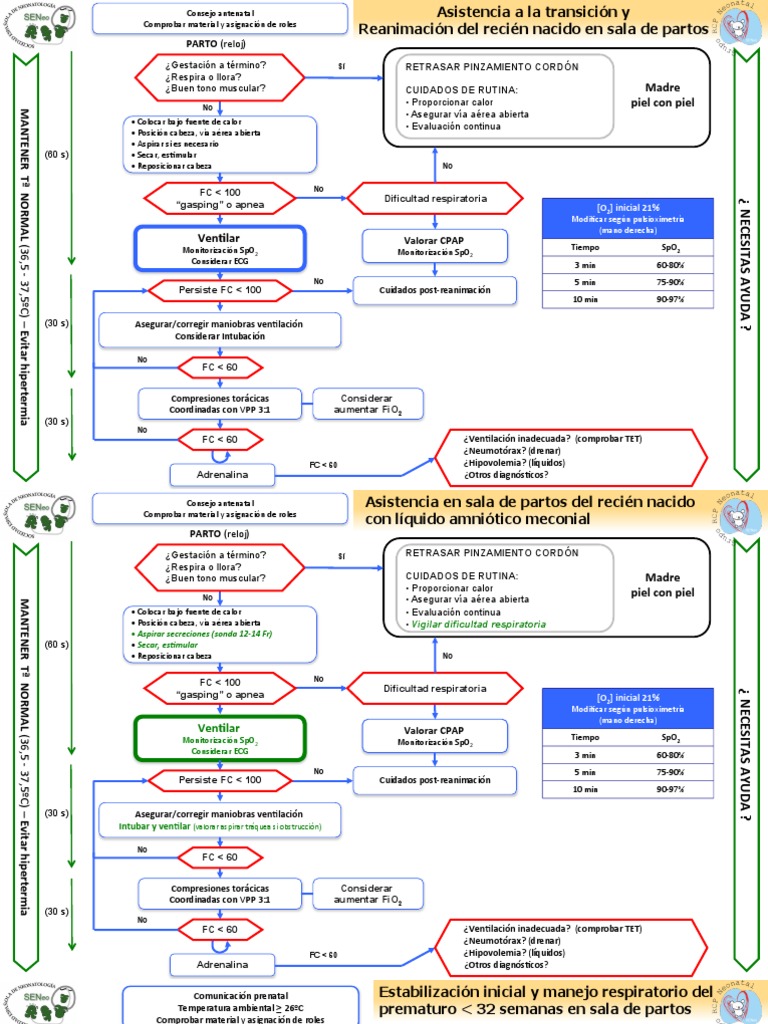 Algoritmos RCP Neonatal 2016 | Cardiopulmonary Resuscitation | Clinical ...