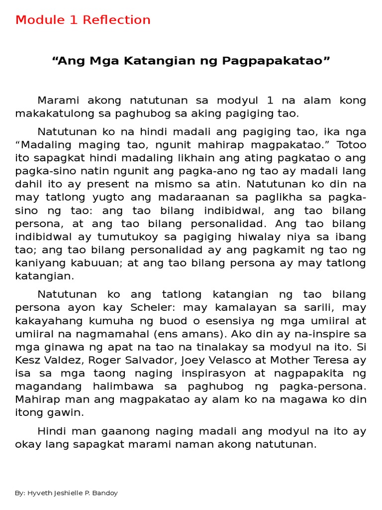 Esp Reflection | PDF