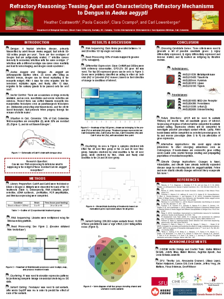 GRC Poster CL | PDF | Aedes Aegypti | Virus