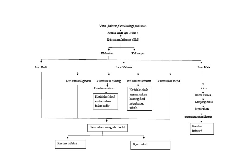 Pathway Sjs New | PDF