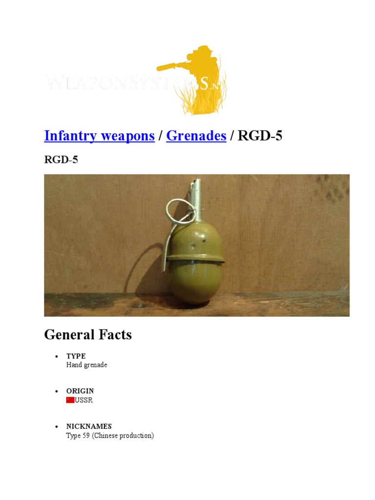 RGD 5 | Download Free PDF | Fuze | Hazards