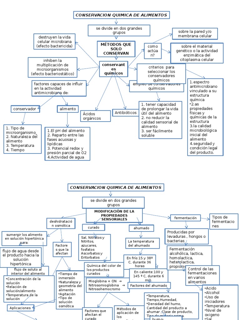 Mapa Conceptual Conservacion Quimica de Alimentos | Curado (Conservación de Alimentos) | Alimentos