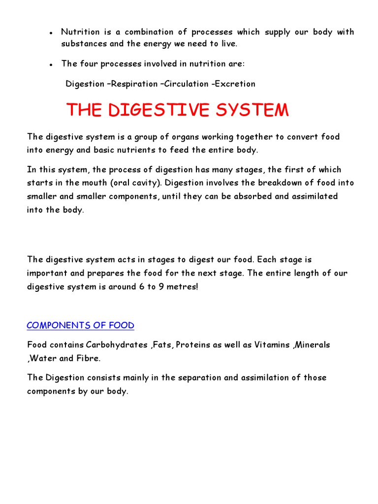 The Digestive System-6th Primary | PDF | Human Digestive System | Digestion