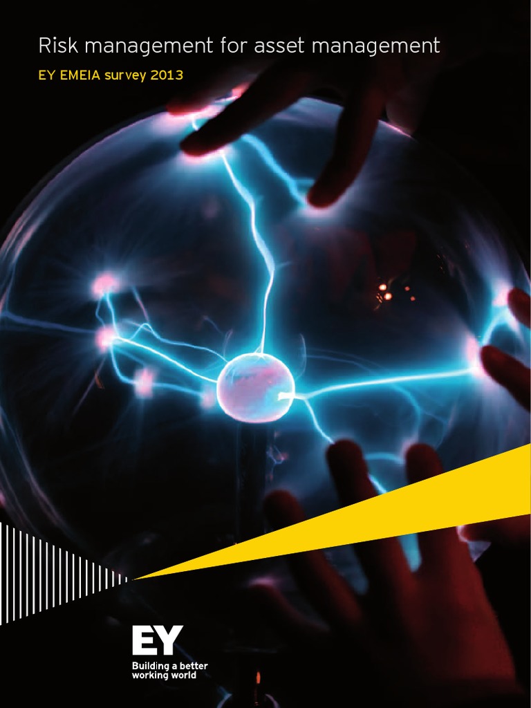 EY Risk Management for Asset Management Survey 2013 | Investment ...