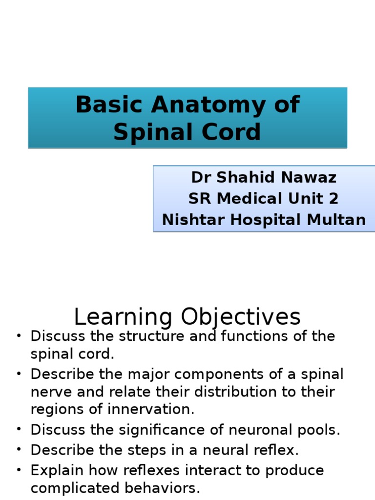 Basic Anatomy and Physiology of Brain and Spinal Cord | PDF | Spinal ...