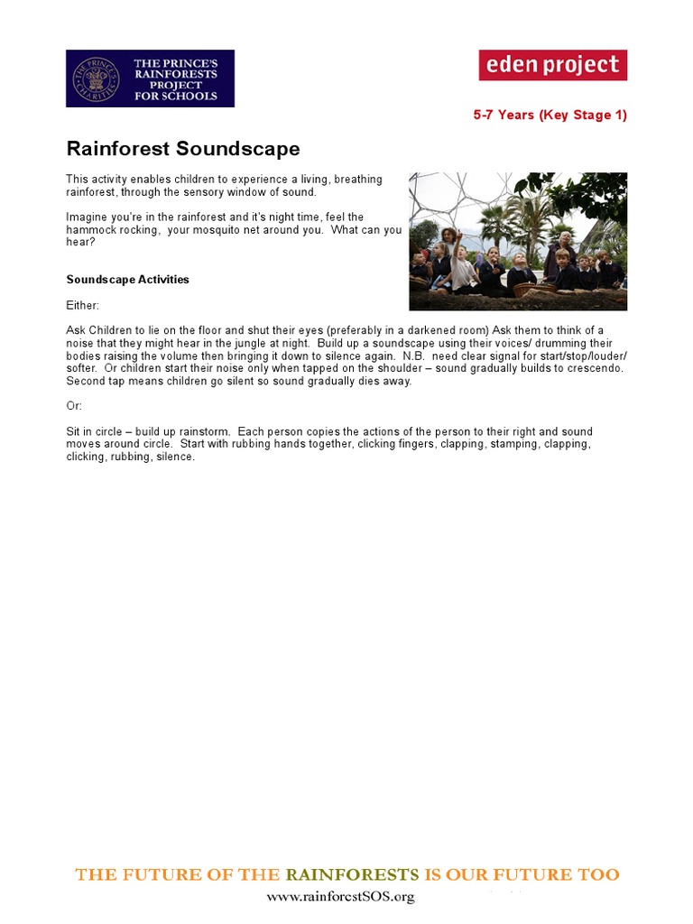 Rainforest Soundscape | PDF