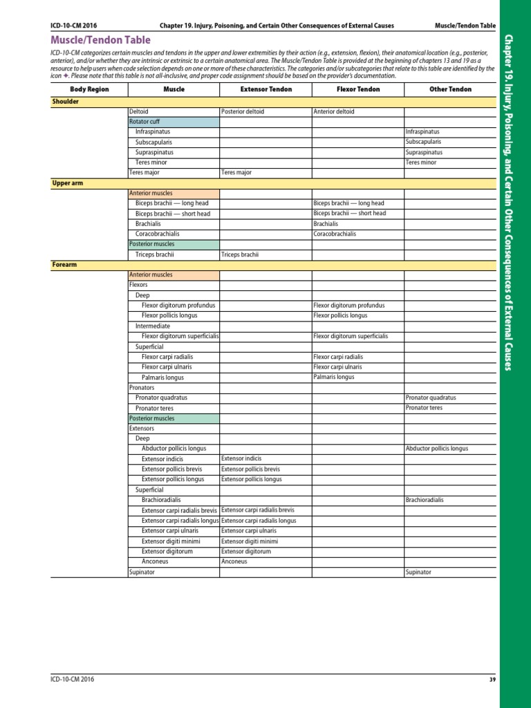 I10 Table Muscles Tendon | PDF | Foot | Human Leg