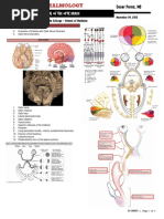 Tangent Screen Visual Field Testing | PDF | Retina | Color