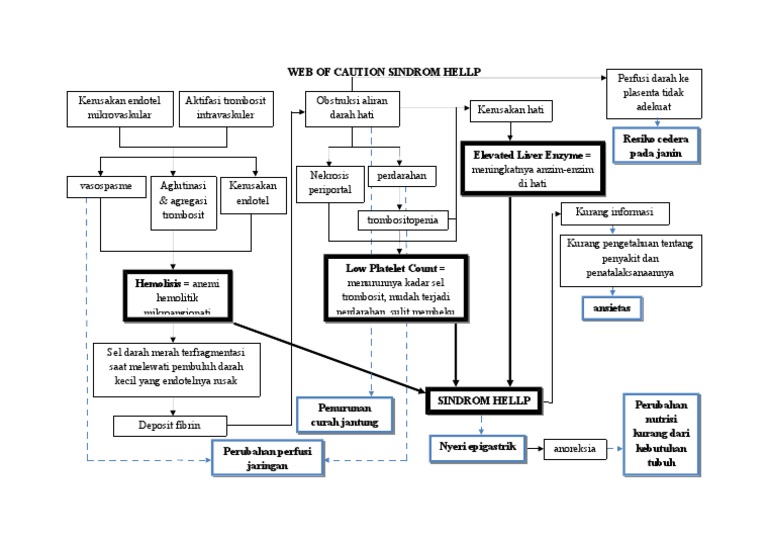 Web of Caution Sindrom Hellp | PDF