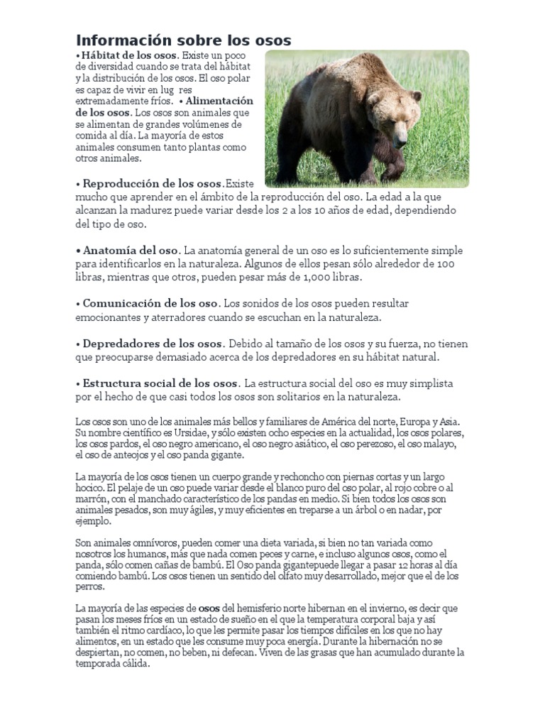 Información Sobre Los Osos | PDF | Osos | Oso polar