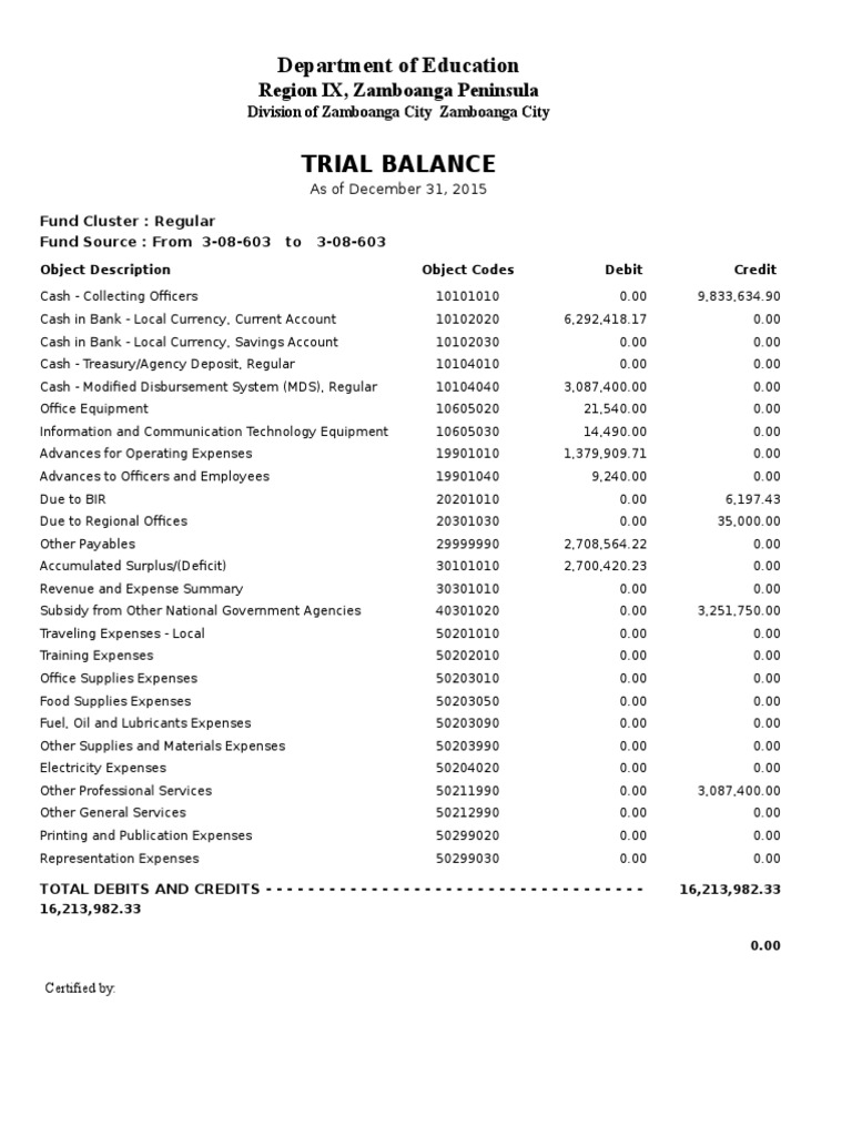 RPT Trial Balance | PDF