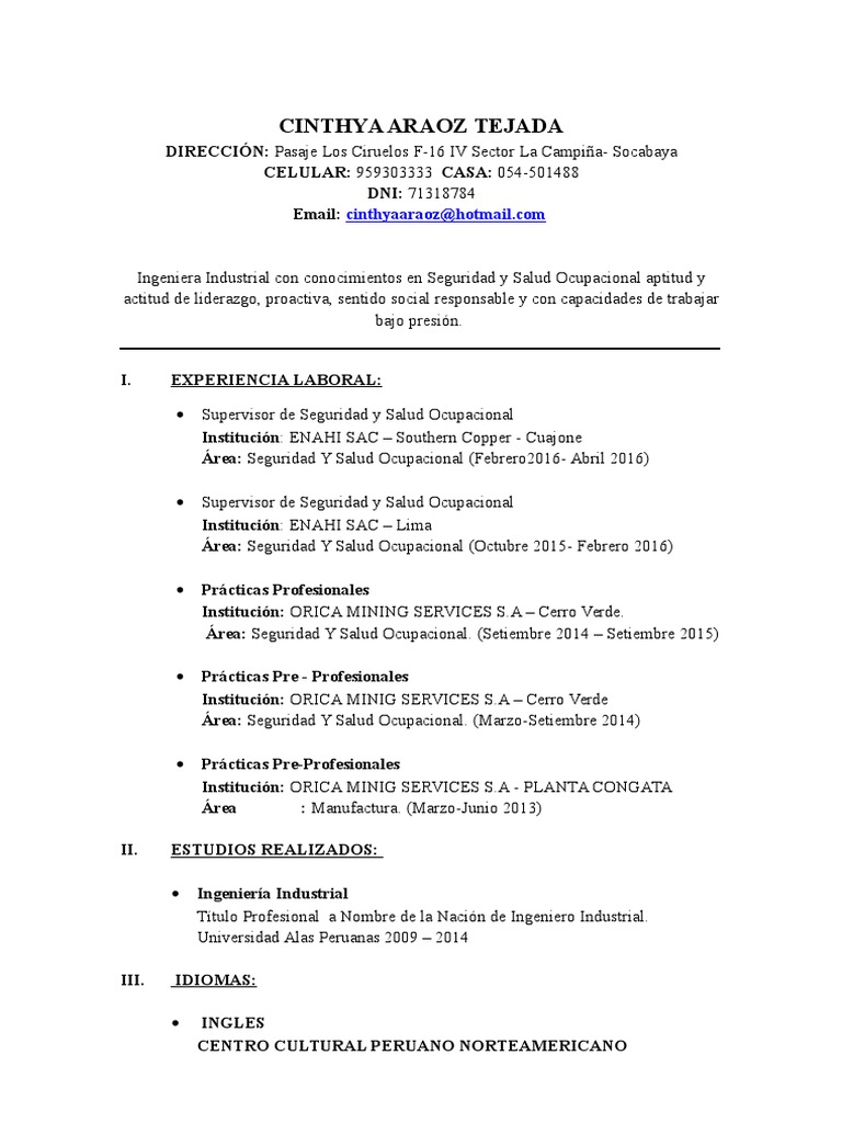 Curriculum Cinthya Actualizado | PDF